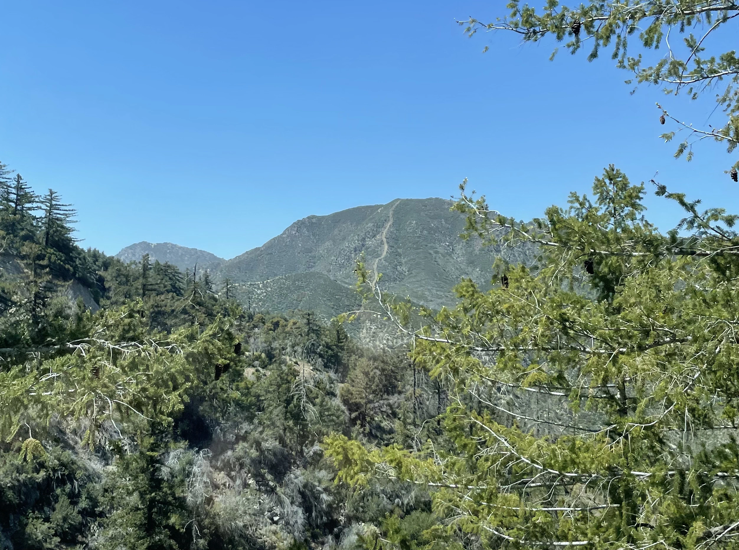 Mount Lawlor | Western Angeles Crest | San Gabriel Mountains